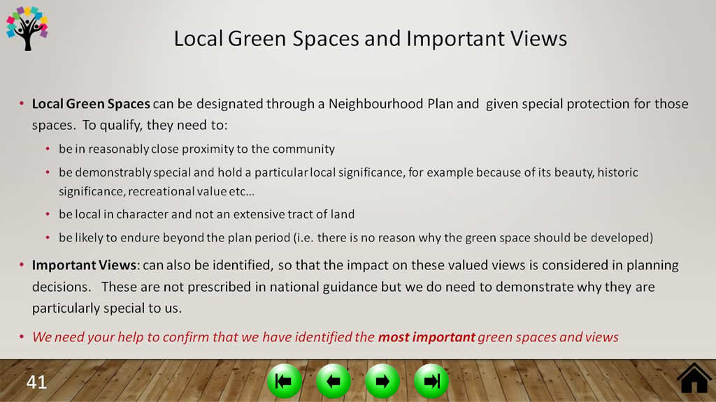 Local Green Spaces and Important Views